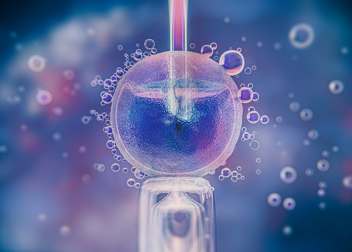 A Lens into IVF and Sexuality – Hawksley